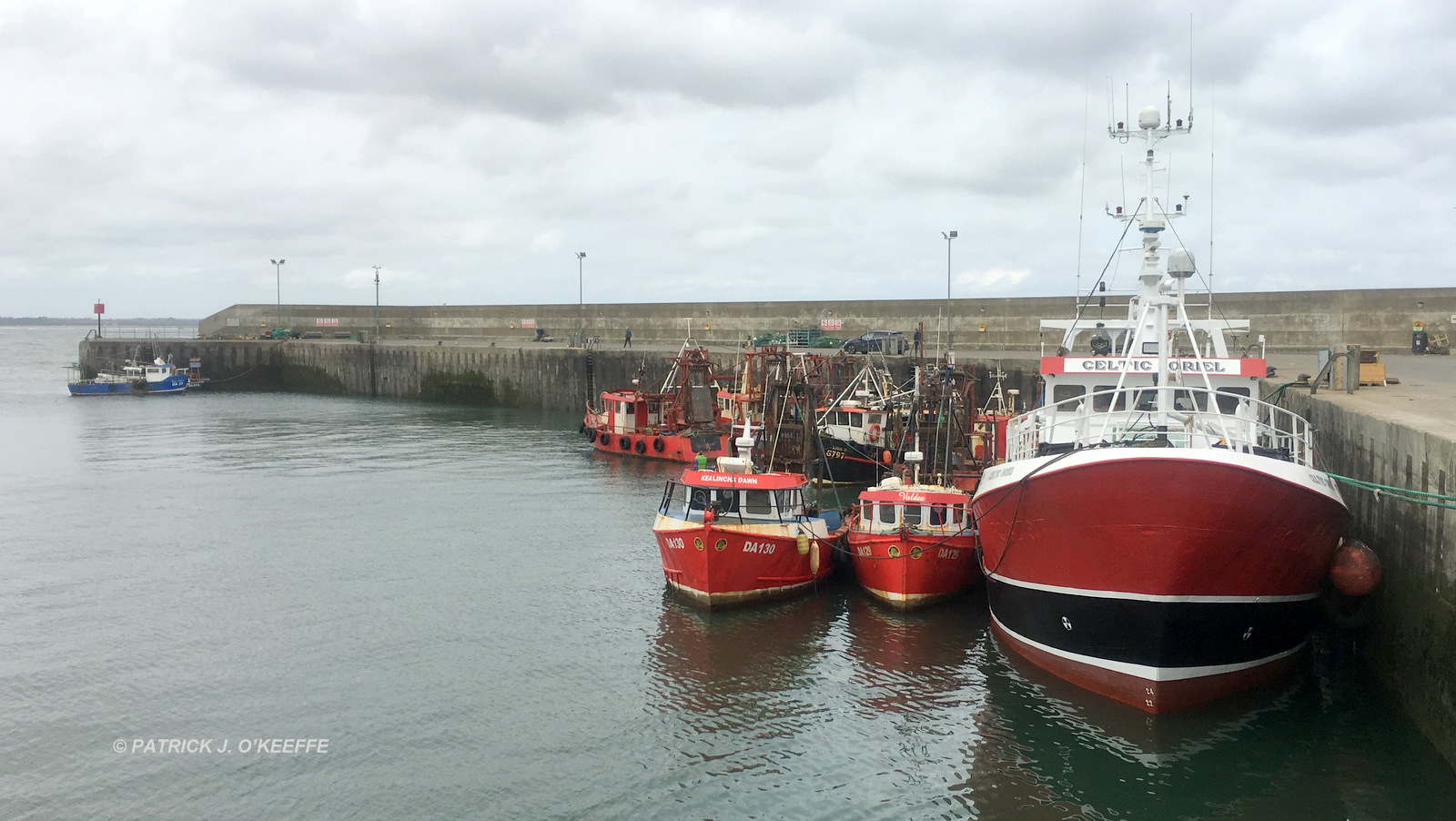 Raw Birds: PORT ORIEL HARBOUR Clogherhead, Co. Louth, Ireland