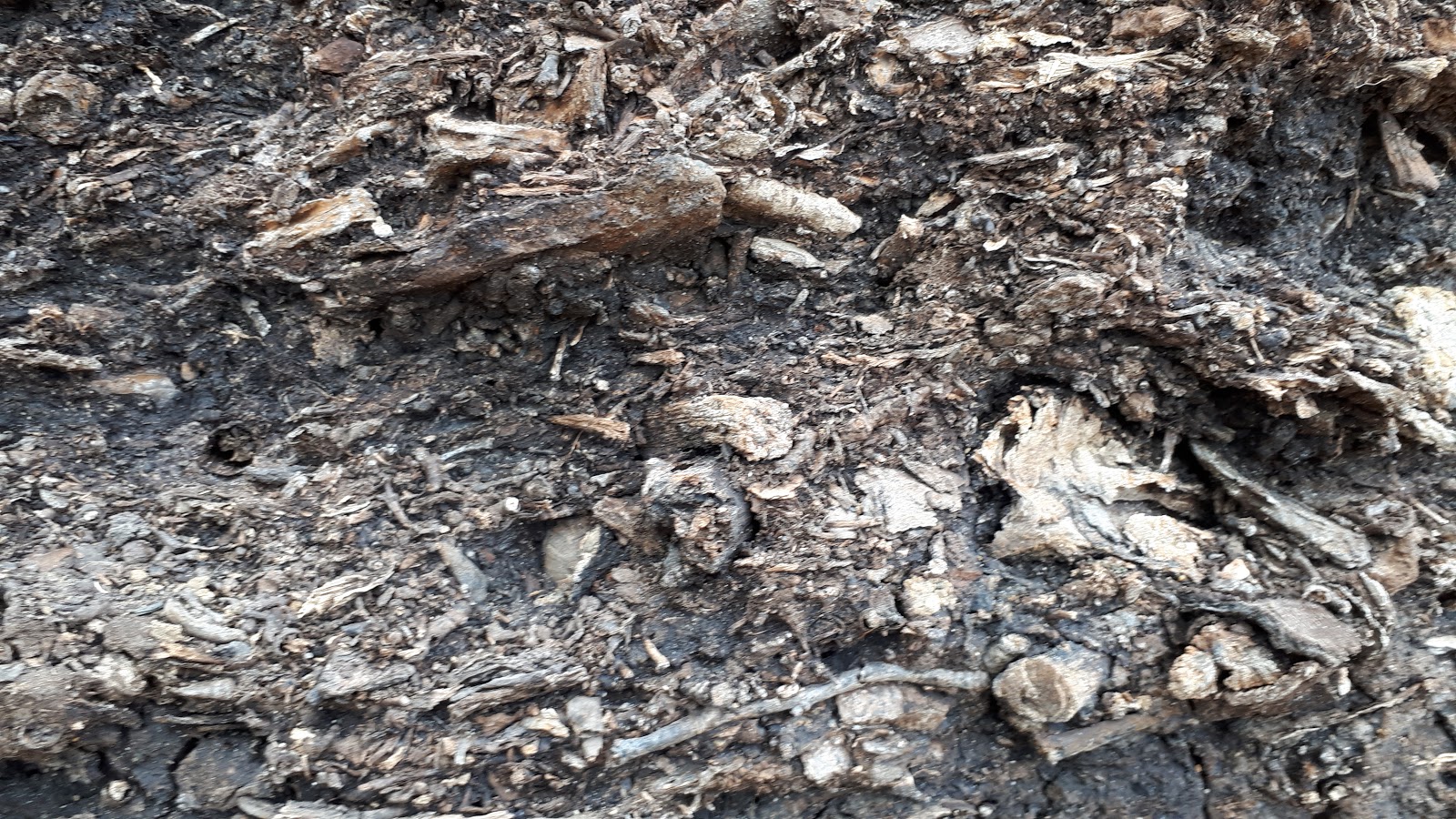 Wild at Hull: Migrants Way. Stage 11. Atwick to Skipsea