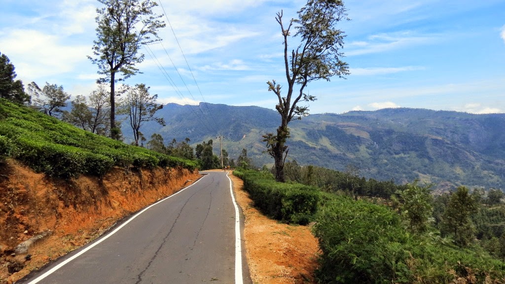 LakRoo Environmental Club: Mandaram Nuwara