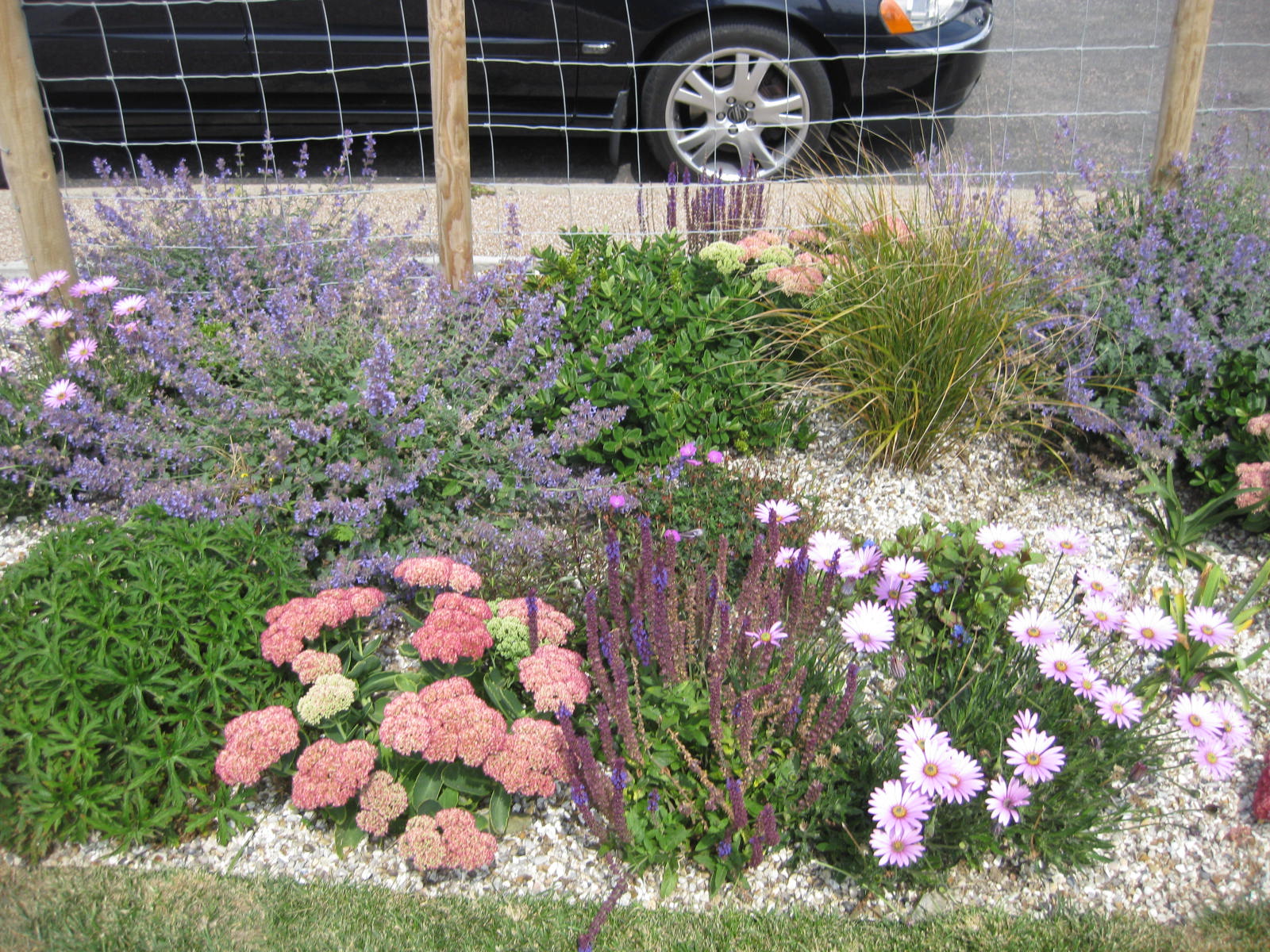 HTA Landscape Design: Next Wave Planting Lists Published - come on you ...