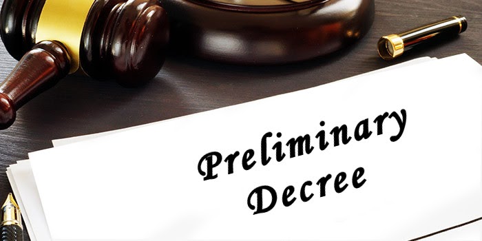 Types of Decree | Preliminary, Final, Partly Preliminary and Partly ...