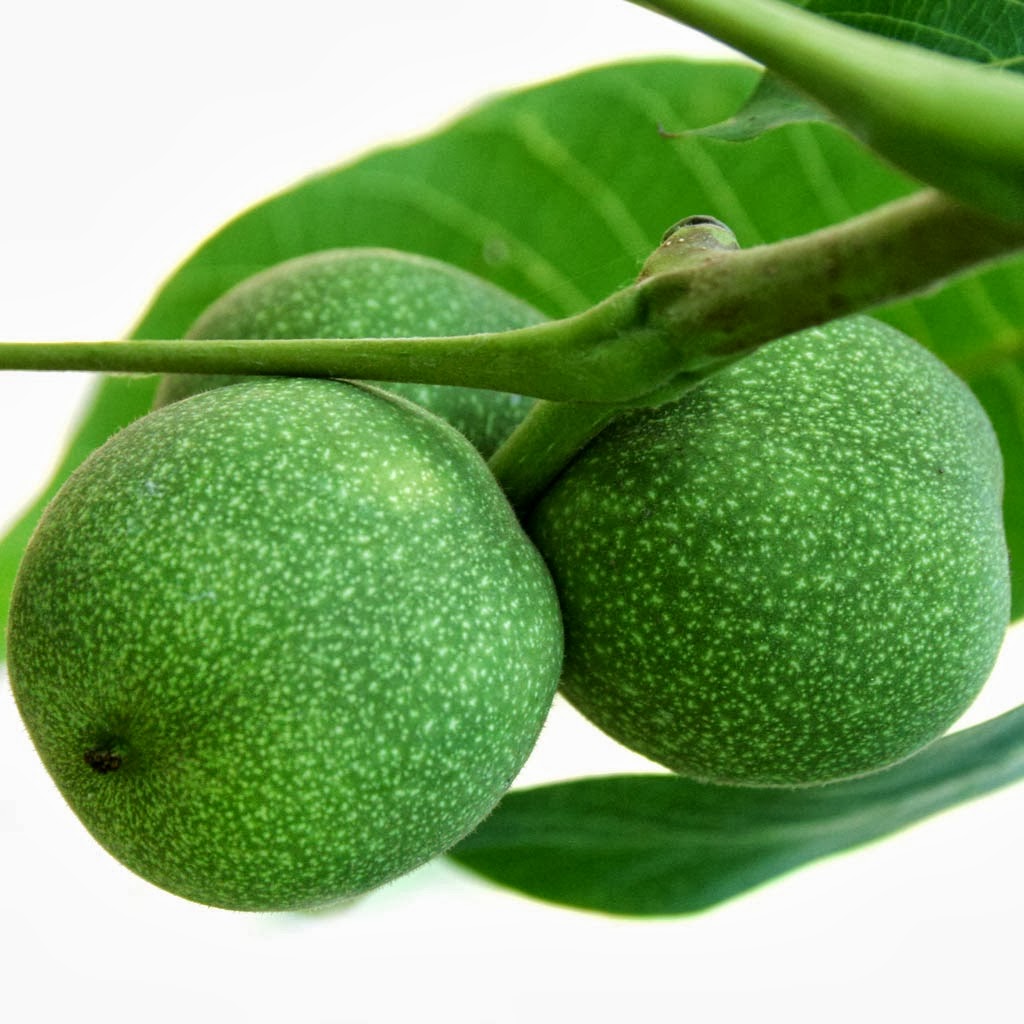 Soiuri de nuci FR ~ Nuci