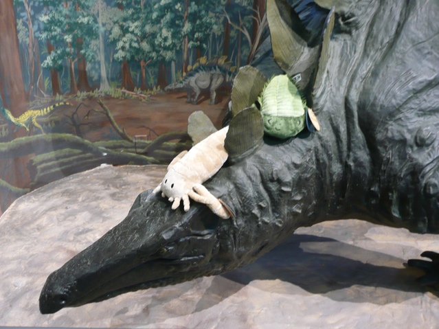 Koprolitos: Paleozoic Pals