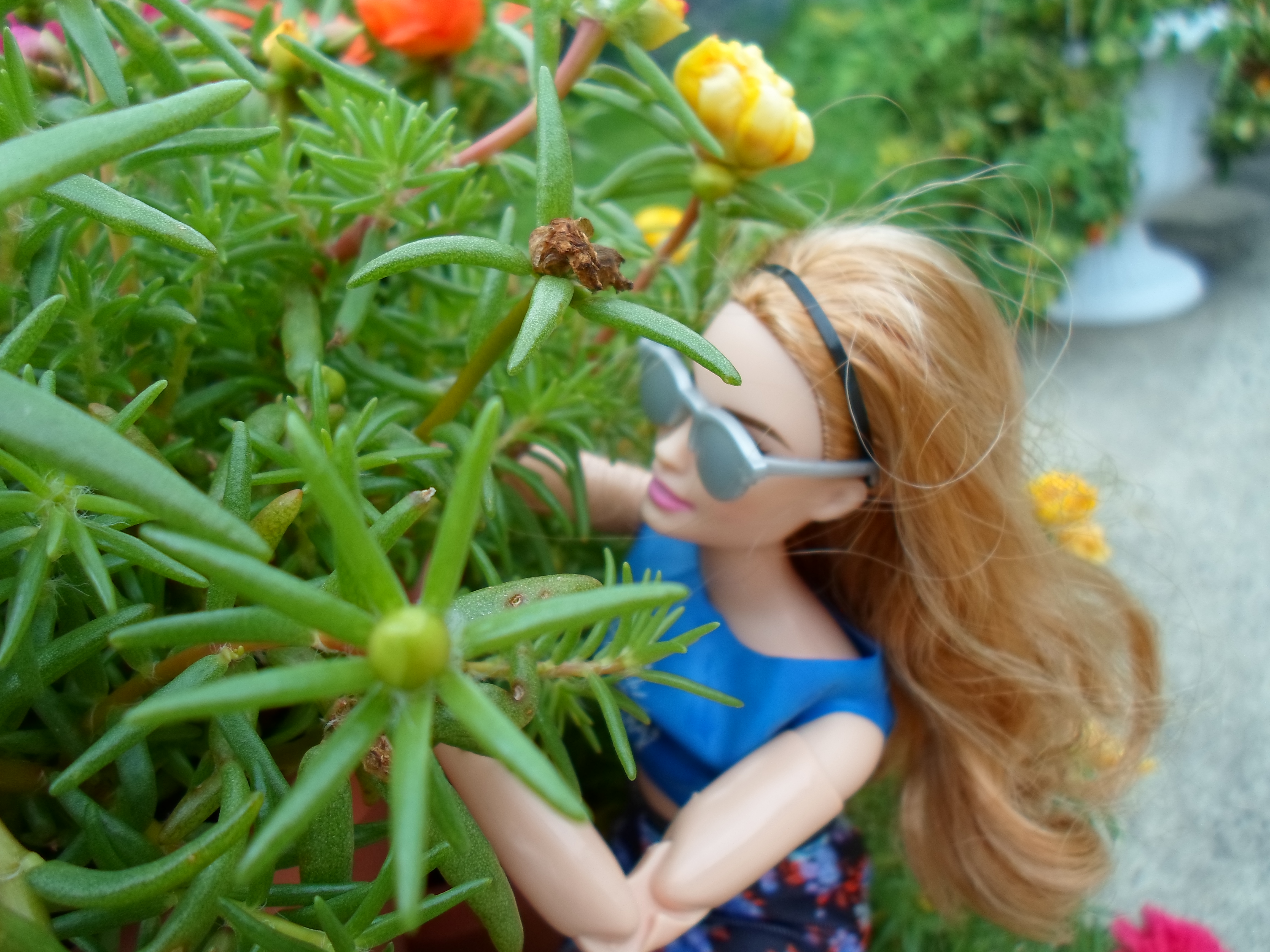 Happier Than A Pig In Mud: Saturday ReView: Zoodle Squash Scampi ...