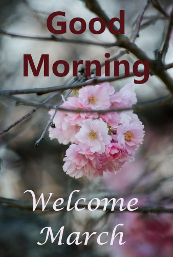 Top 10 Wish You Good Morning Welcome March Images greating Pictures ...