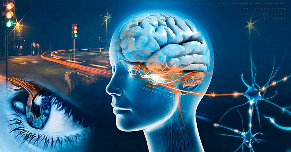 violetas: LA PERCEPCIÓN