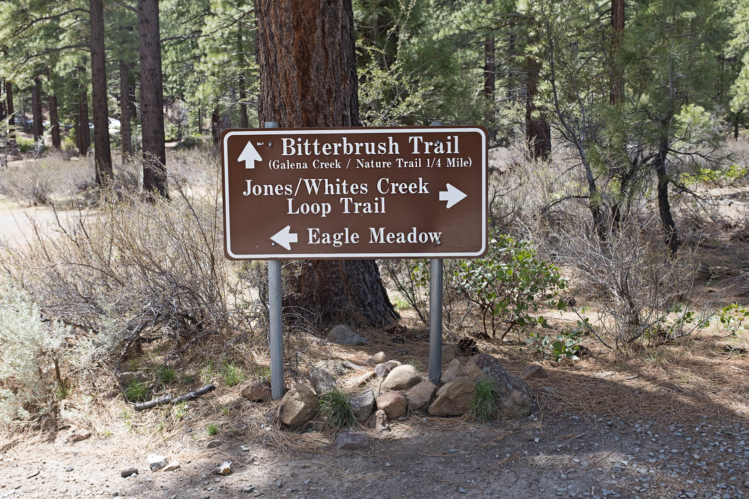 Loving Reno: Galena Creek Regoinal Park- One of Reno's Hidden Gems, The ...