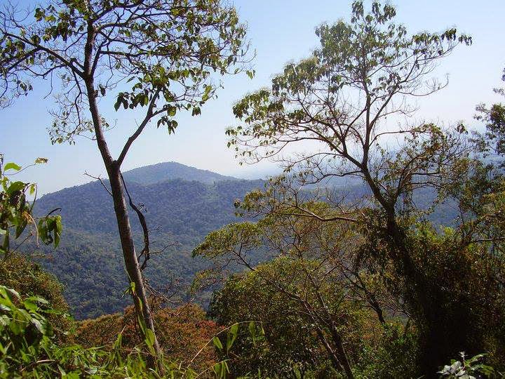 Parques Nacionales del Paraguay: ECOREGIÓN CHACO SECO