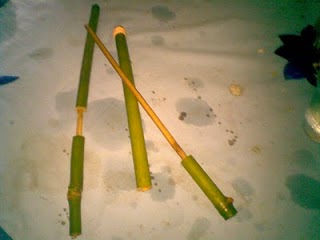 Permainan Tradisional Pletokan - Wisata