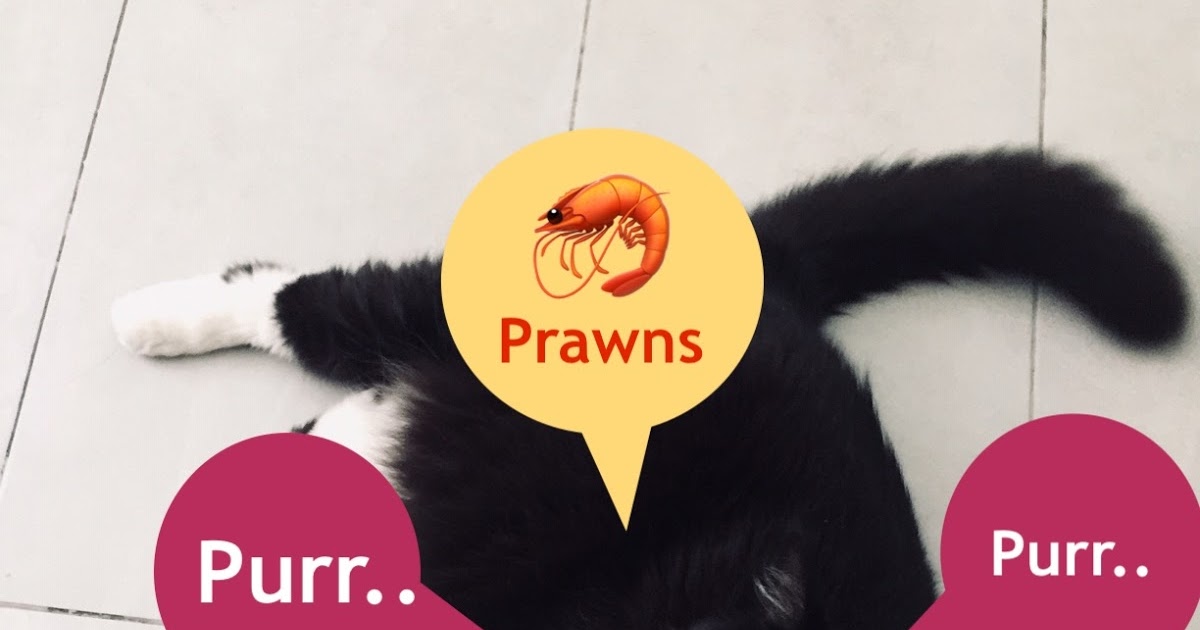 Mr. Puddy +: At the kitchen