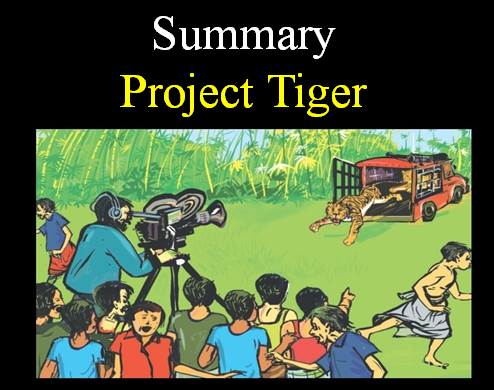 ProjectTiger