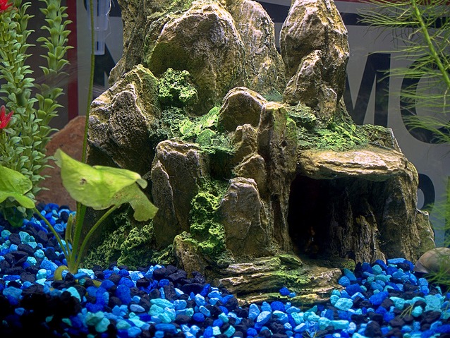 AQUARIUM SUPPLIES, ACCESSORIES AND EQUIPMENT: Tips to Choose the Right ...