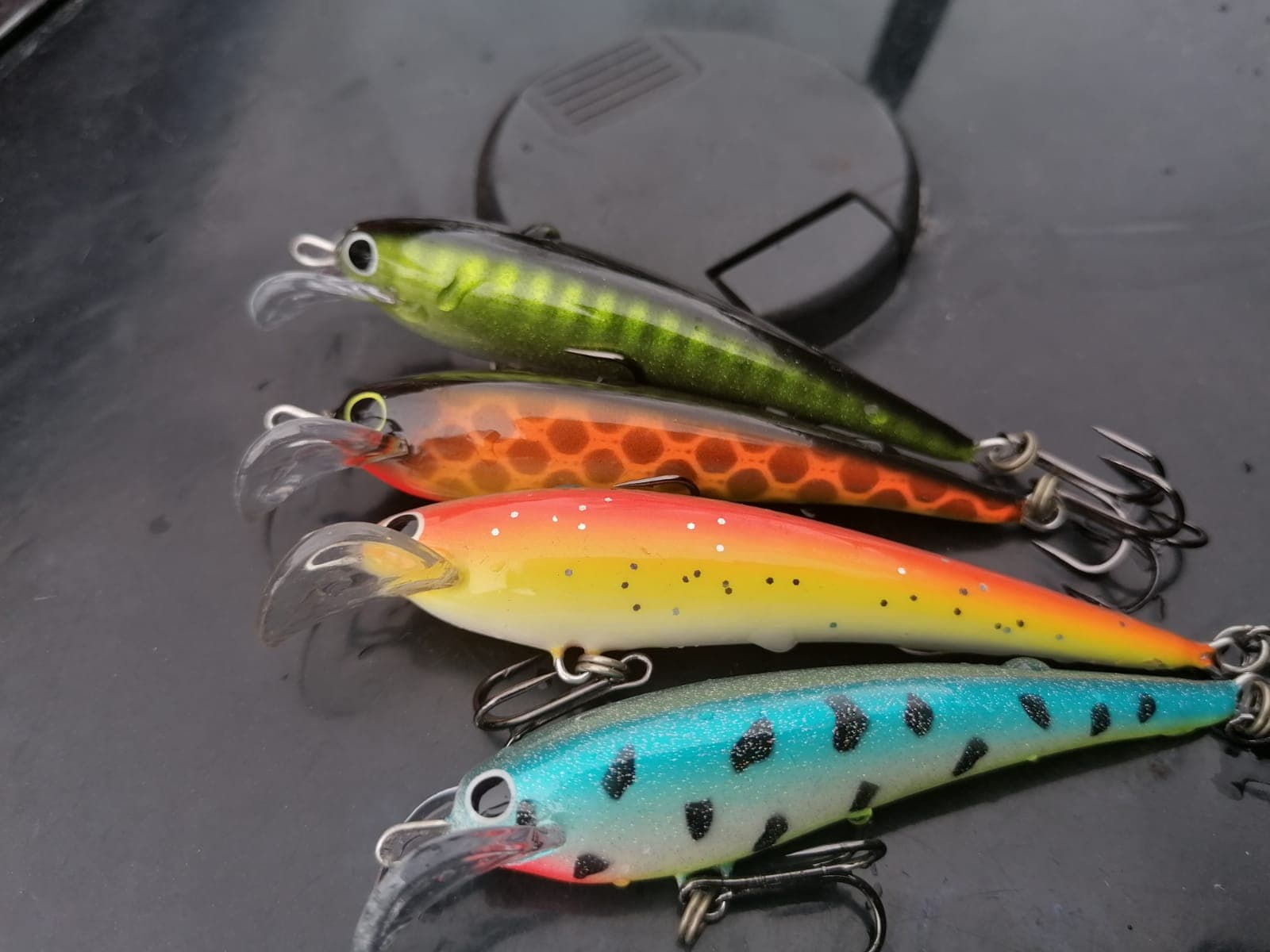 Jalokalajahdissa Kymijoella luontokuvaajan opissa