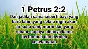 1 PETRUS 2:1-3 (HIDUP SESUAI KELAHIRAN BARU) - TEOLOGIA REFORMED