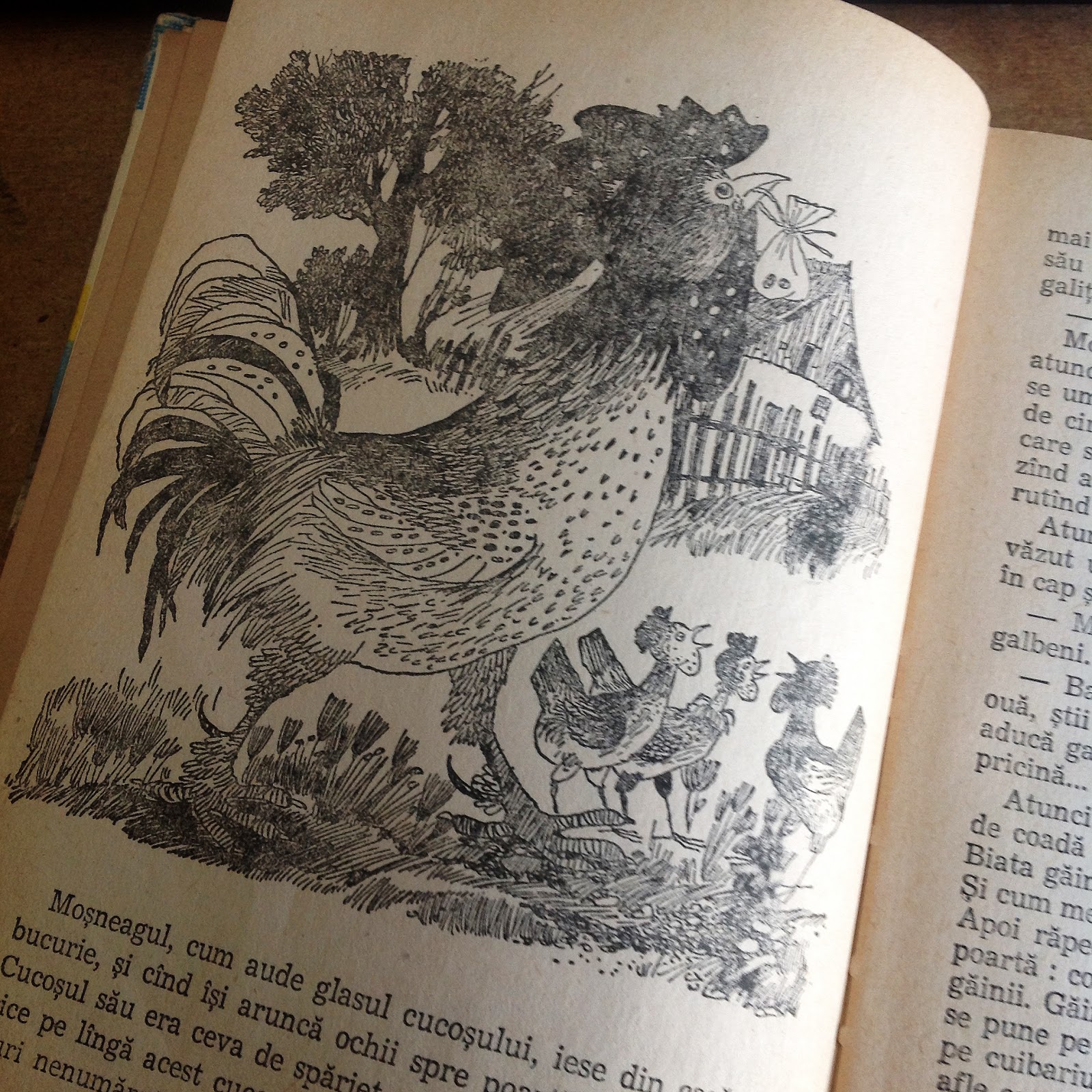 Lexi's: 'Punguta cu Doi Bani'