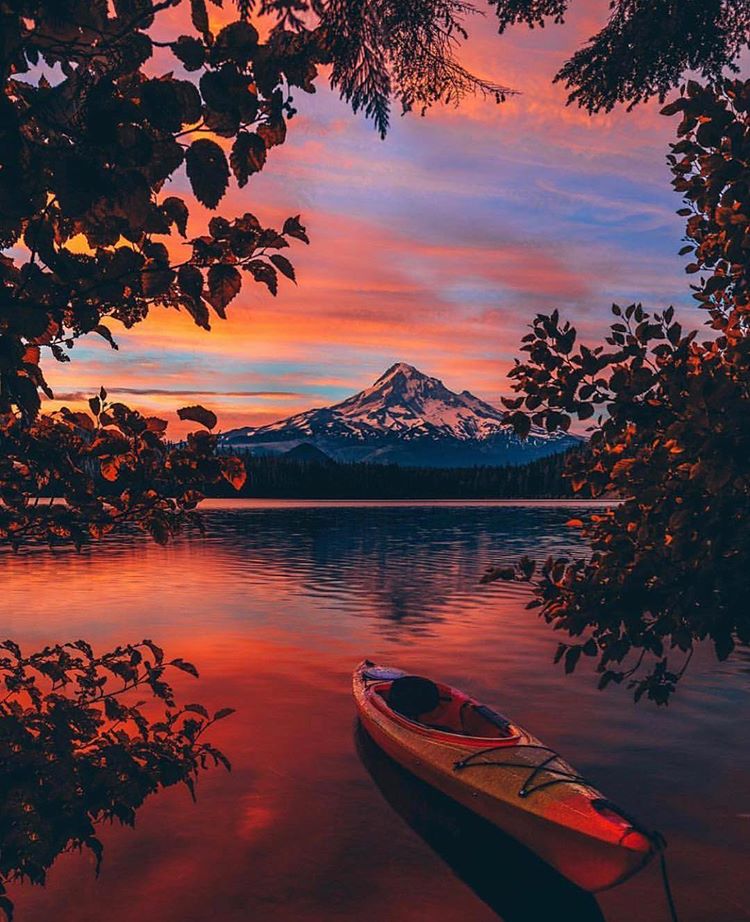 Meneladani Kisah Abu Bakar ash-Shiddiq Radhiallahu ‘Anhu