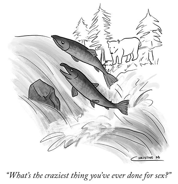 Bilbo's Random Thought Collection: Cartoon Saturday