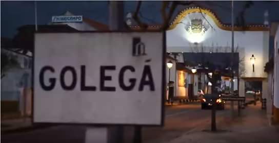 Farpas Blogue: Bar "Cavalhadas", Golegã: grande noite de abertura hoje!