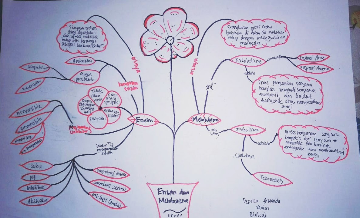 Tugas Mind Mapping Materi Enzim dan Metabolime Kelas XII MIA 1 - Kelas ...