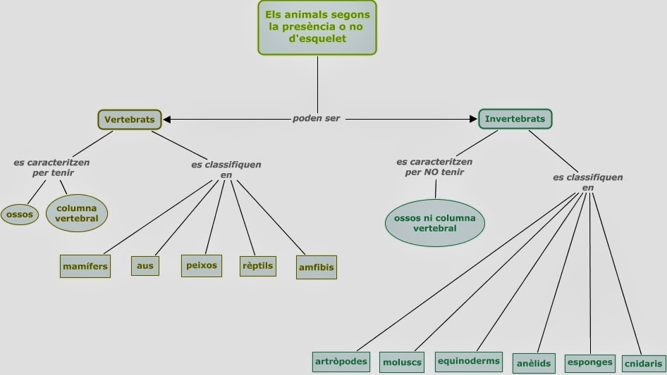 APRENEM REPASSANT: Esquema animals vertebrats i invertebrats