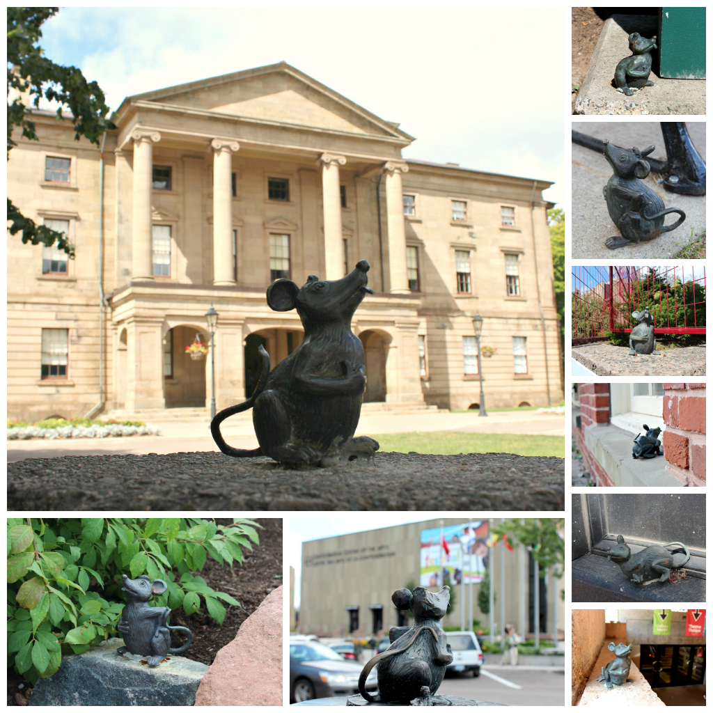 A Mouse Hunt in Charlottetown