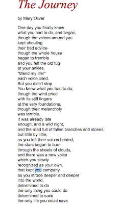 polarityinplay..!: The Journey by Mary Oliver