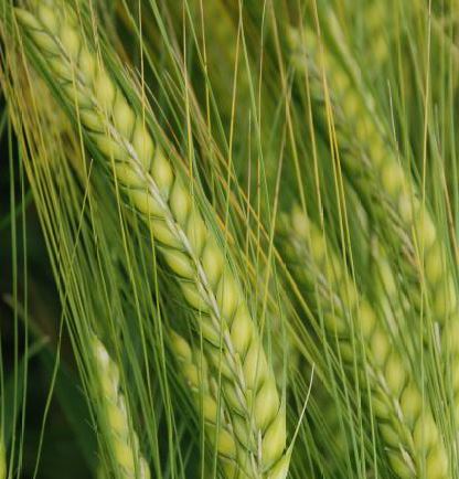 En savoir +: Presles-en-Brie (Aimé le 02/07/19)