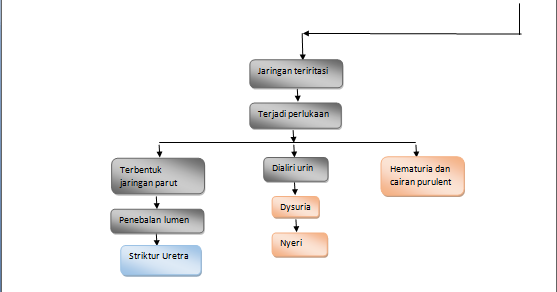 Pathway ISK : Uretritis Singkat - Materi Siswa