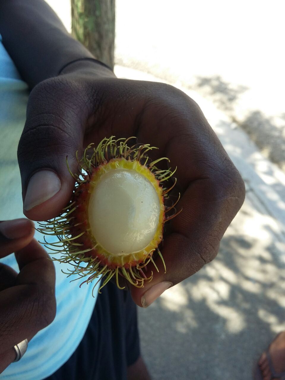 ATACANDODIGITAL.COM |: Rambután, fruta que cura el cáncer y la diabetes ...