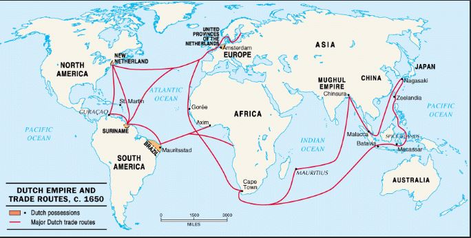 The Treasure Beaches Report Direct From Florida's Treasure Coast.: 6/11 ...