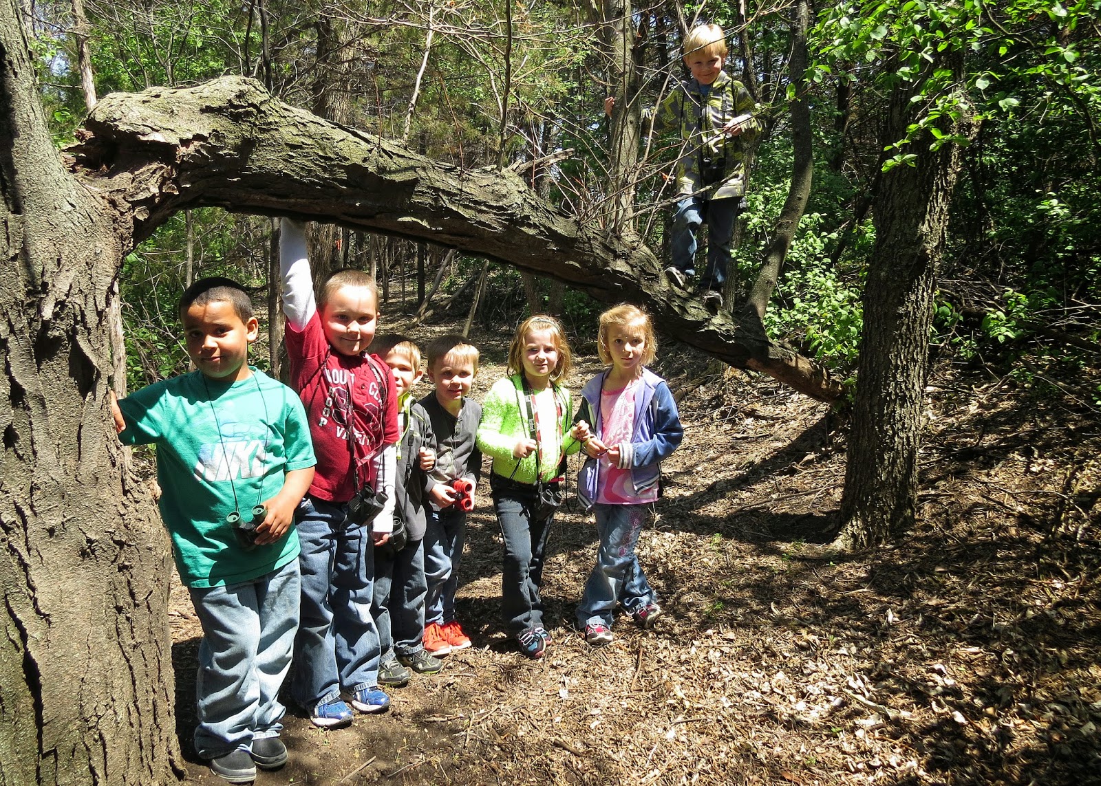 Our Kindergarten Adventure