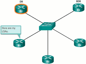 CCNA Complete Course: OSPF DR BDR Election Process | Types of OSPF networks