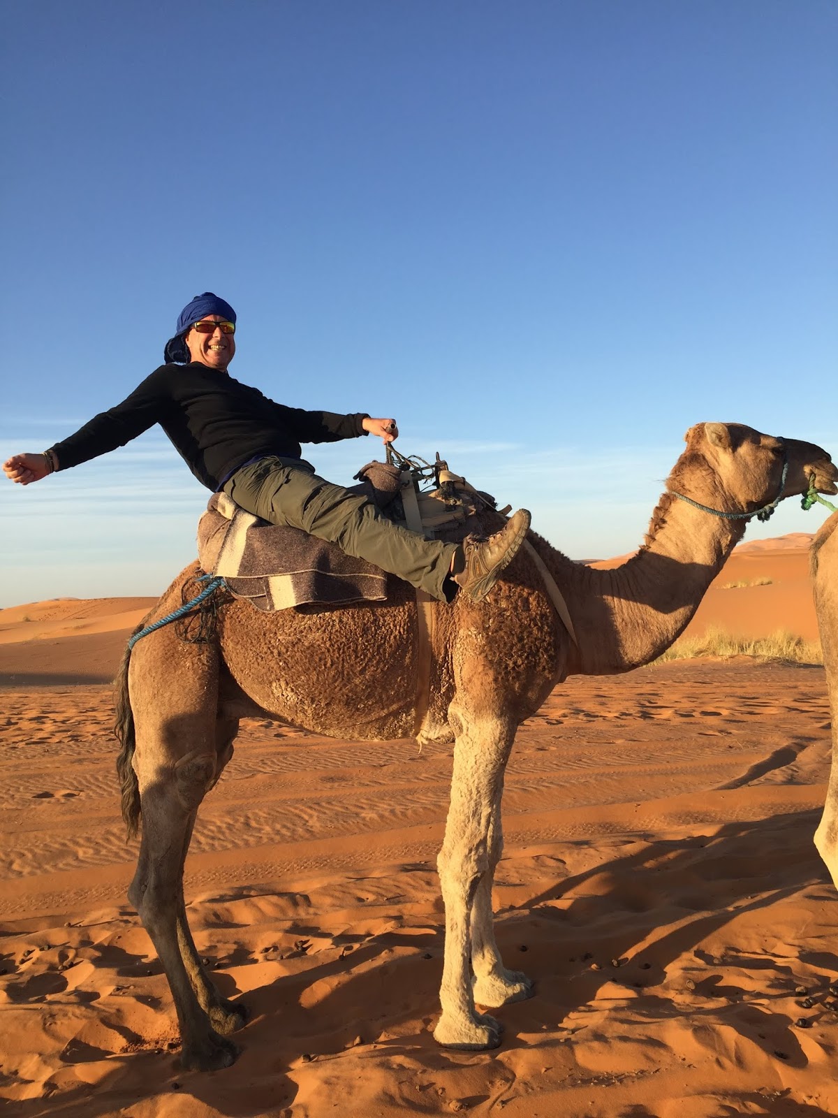 Earthwalker.Moondancer: 2019