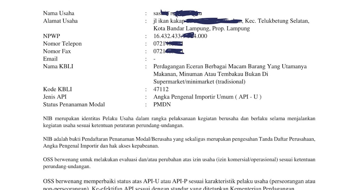 Contoh Surat API-U Nomor Induk Berusaha (NIB) Atas Nama Pribadi Untuk ...