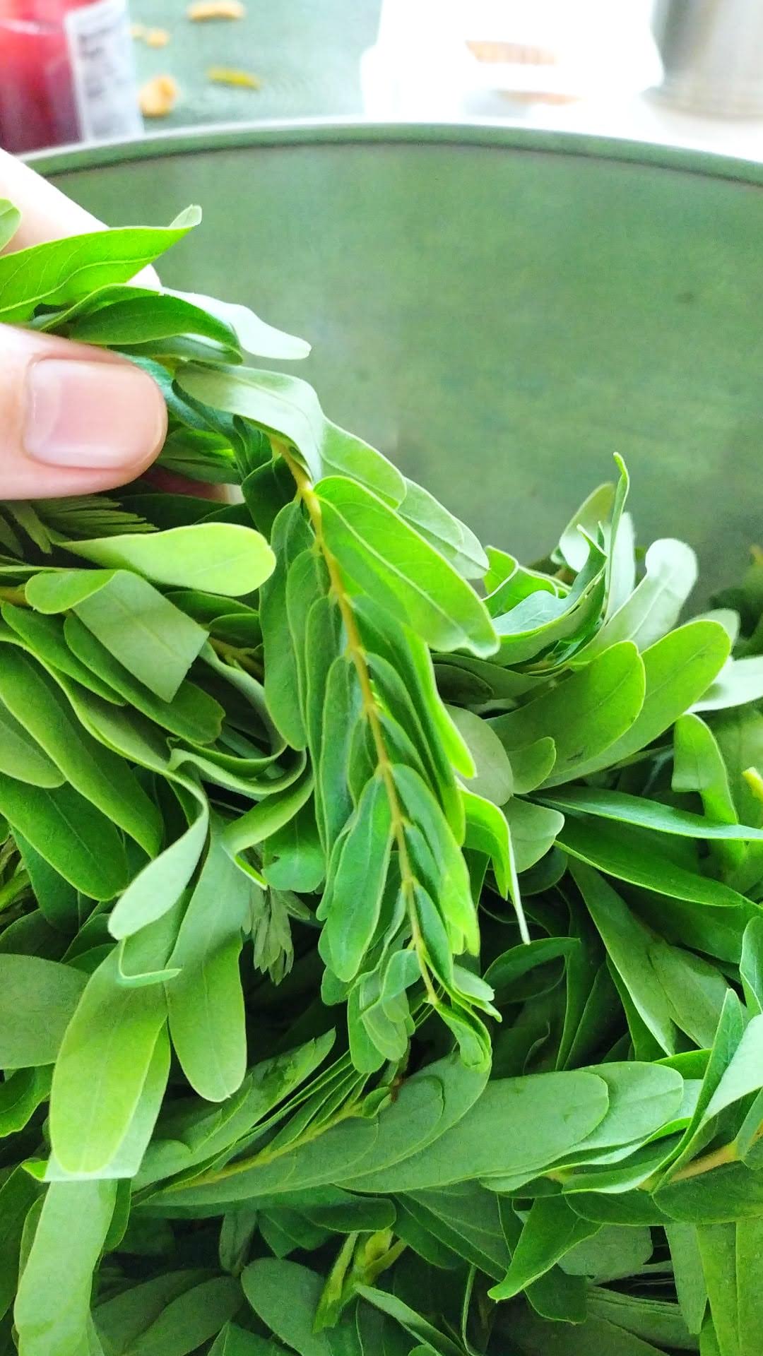 Yan's Family, Frens, Travel, And Food Journal: Daun Turi Masak Lemak.