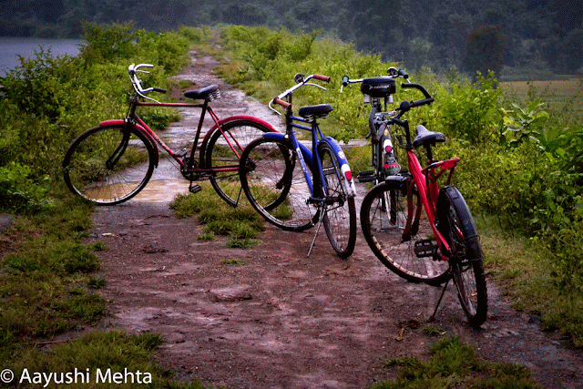 Gentian Violet: The Nairite's guide to rural posting