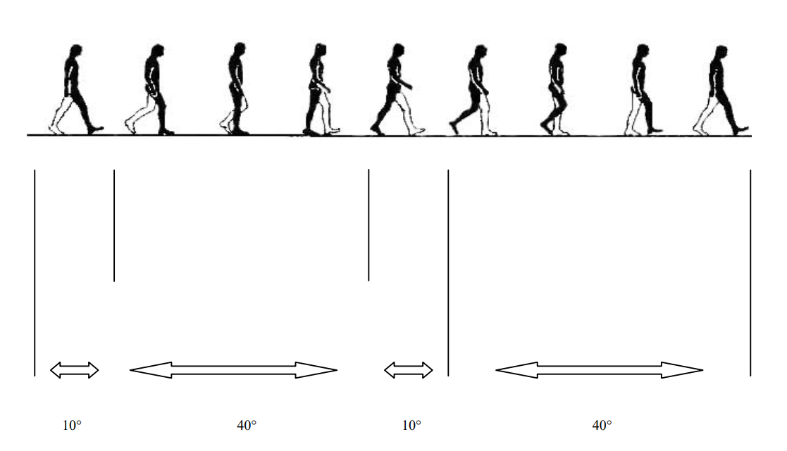 El ciclo de la marcha