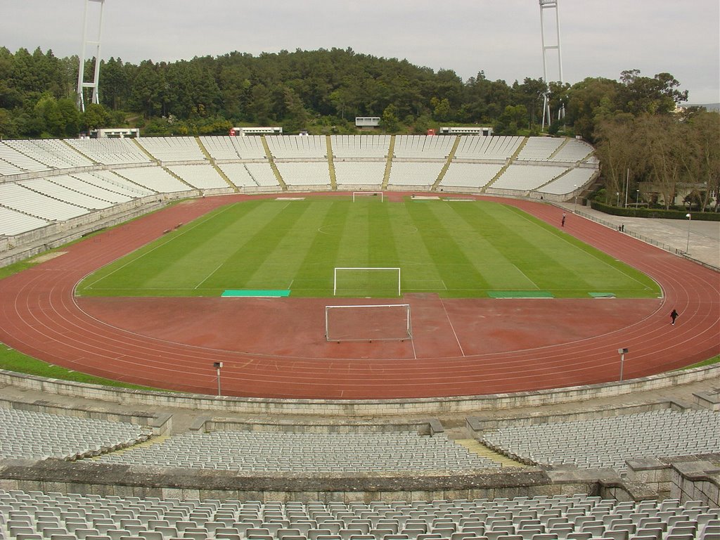 Rugido Leonino: Sai um Bilhete para o Jamor