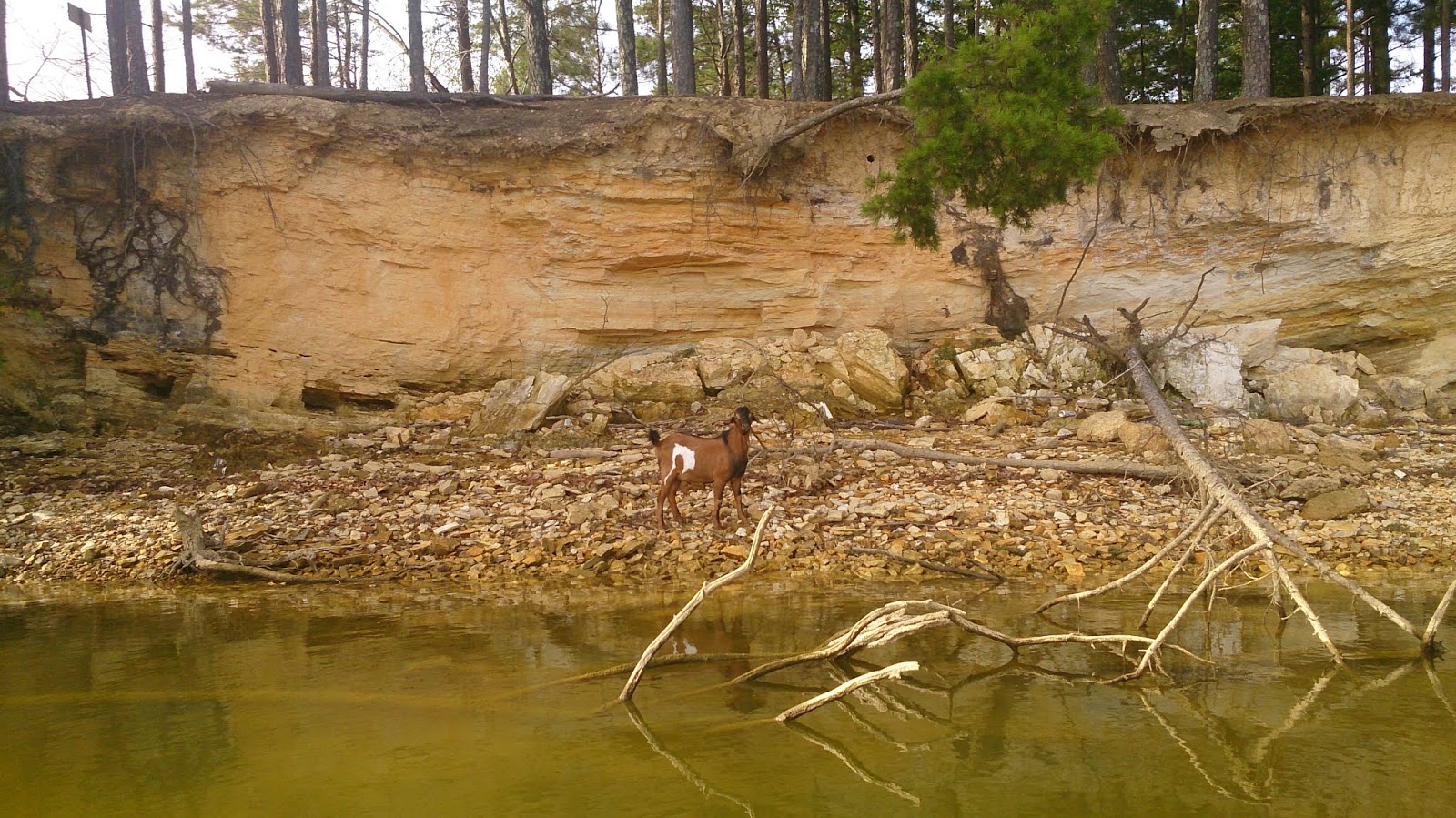 Tennessee-Tombigbee Waterway (aka:Tenn-Tom)