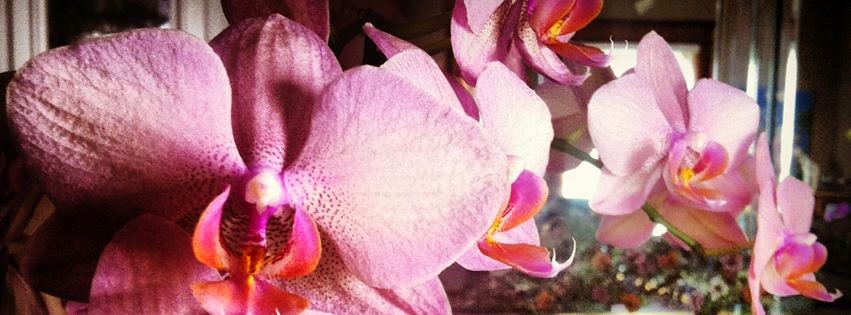 Zen Relaxation Backgrounds: Zen & Peace Facebook Cover Pics