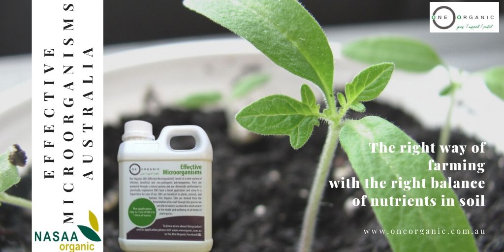 One Organic: Effective Microorganisms Australia Build a Sustainable ...