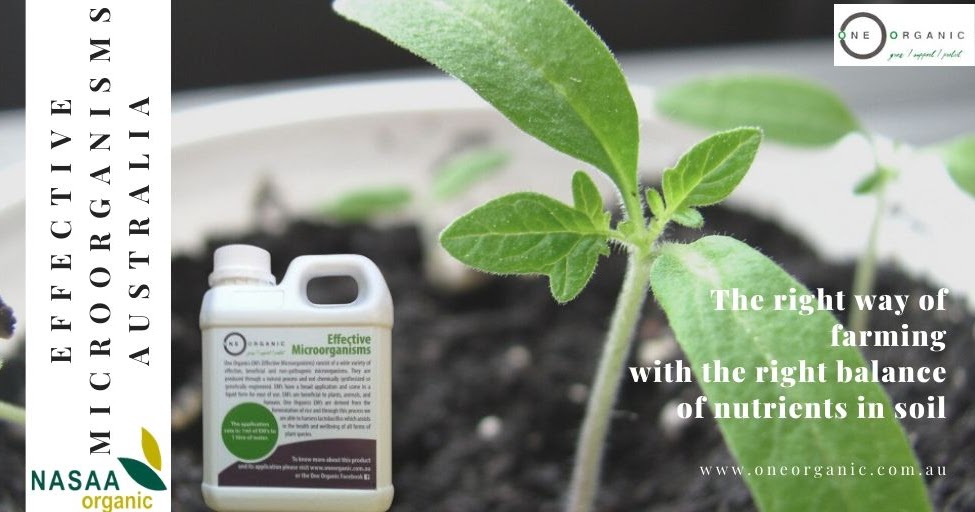 One Organic: Effective Microorganisms Australia Build a Sustainable ...