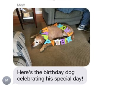 26 Wholesome Mom Texts That Are Equal Parts Hilarious And Adorable ...