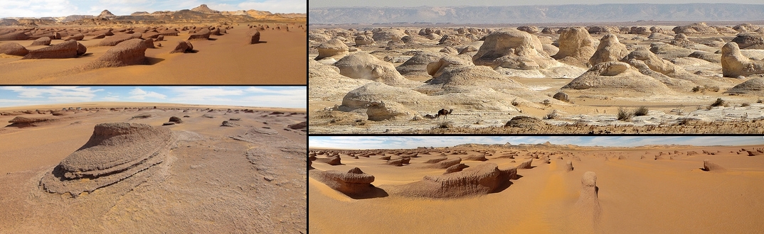 Paisaje y Relieve: Erosión eólica