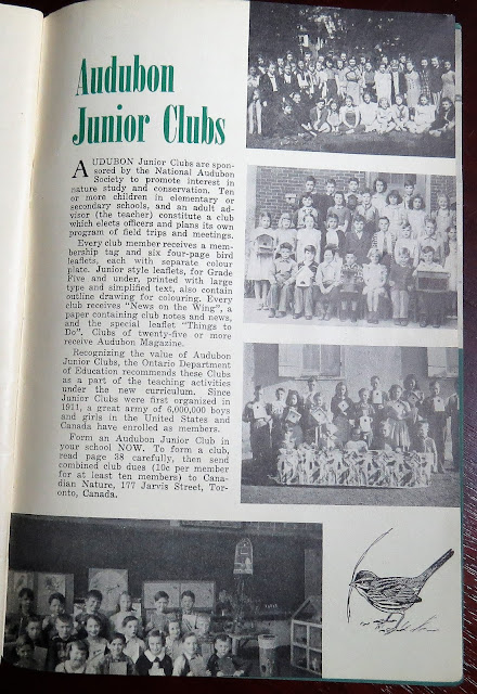 A Retrospective in Nature - Travels With Birds