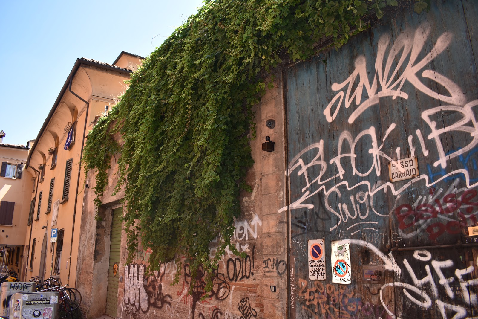 Δέσποινα Χατζή - Συγγραφέας: Via delle Belle Arti-Bologna