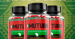 Tutoriais Reviews e Dicas