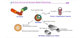 New Pharmaceutical Technology: Multiple-Unit Pellet System for Modified ...