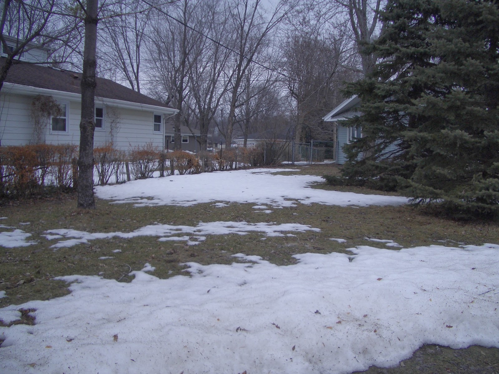 JUST DUCKY!: March 2014